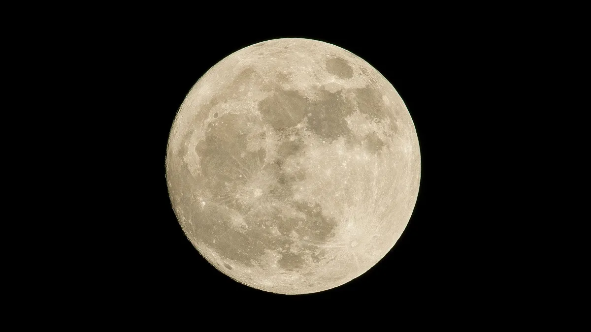 Contact Information - Space Rescue